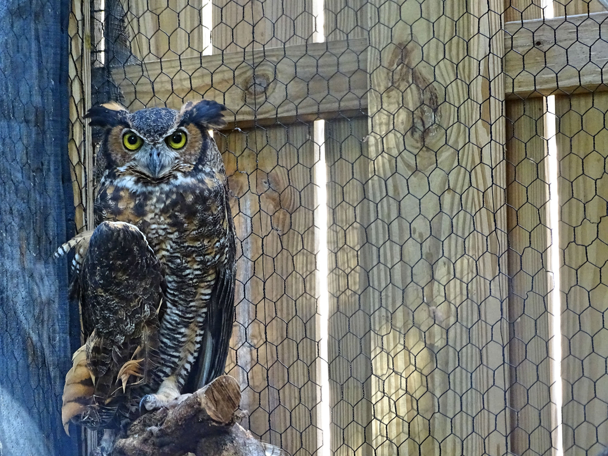 Reisebericht Florida Keys - Tipps für den Weg nach Key West